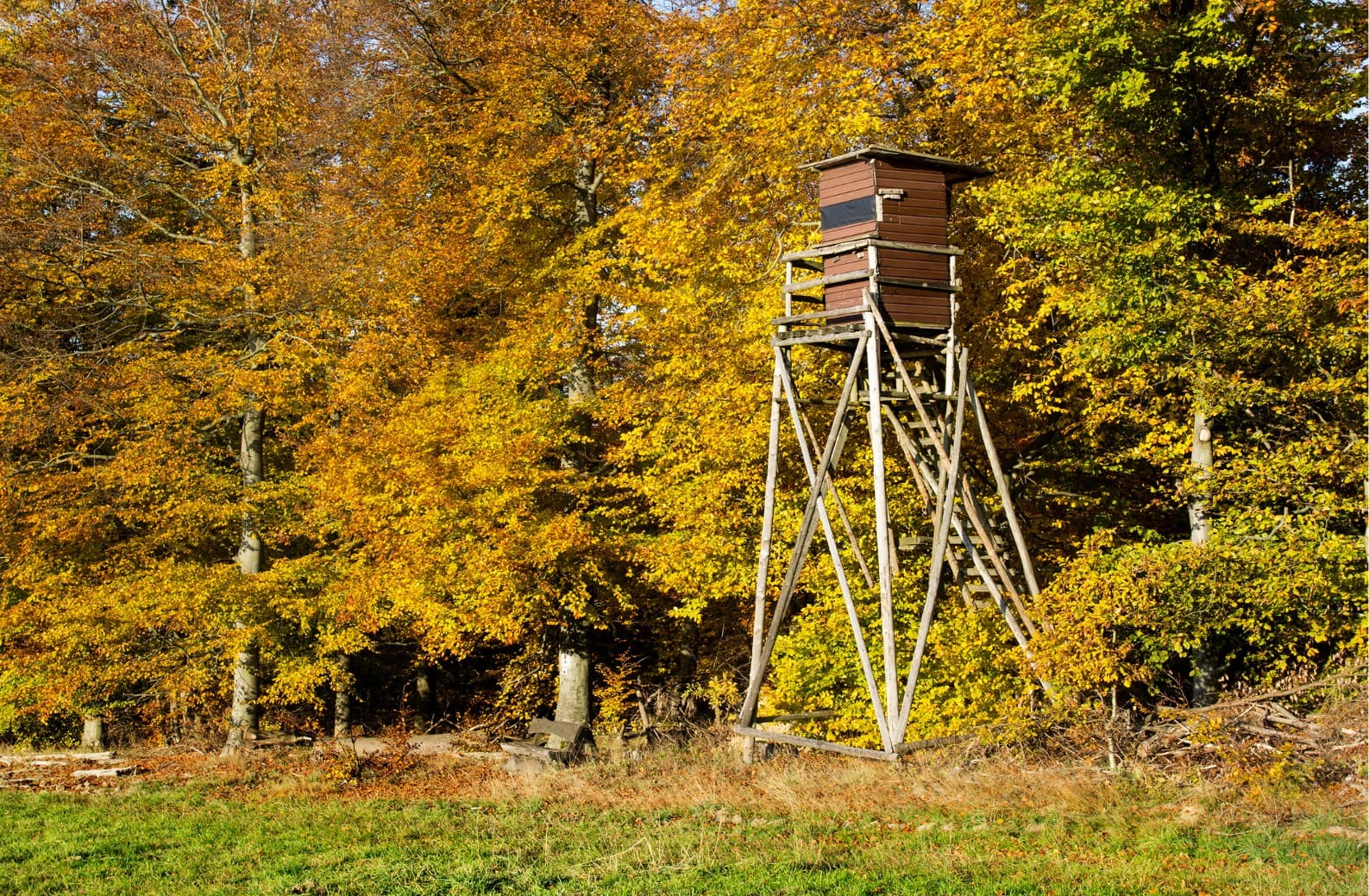 Tree Stand Safety: Tips for a Safe Hunting Season - Indiana Land and ...